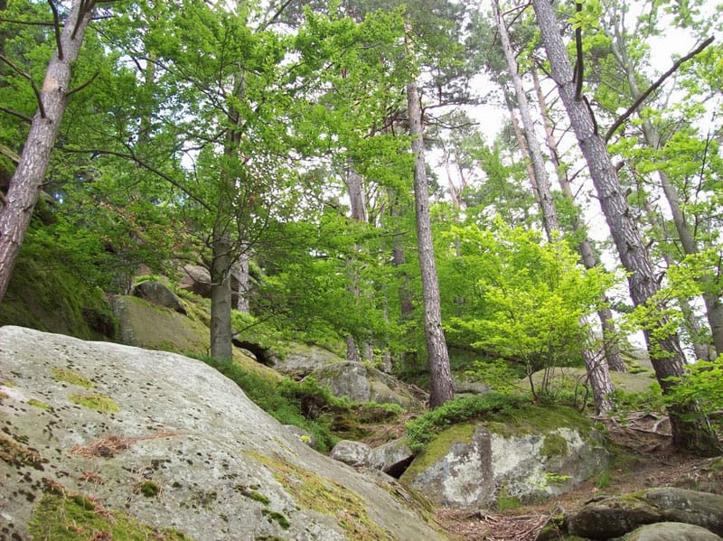 Wallachian Rocks On The Czech-Slovak Border