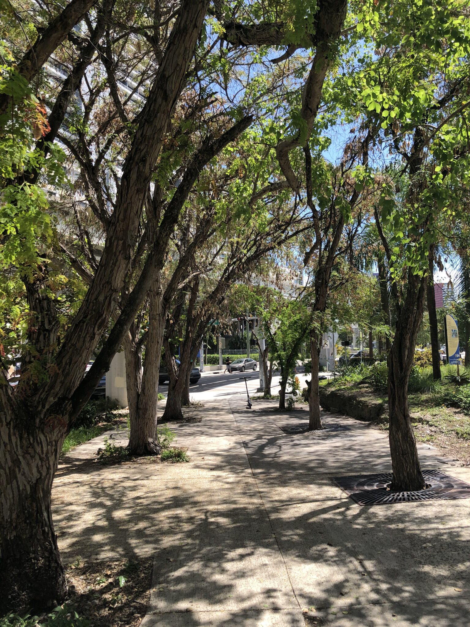 The Underline: Miami's Park Below The Metrorail