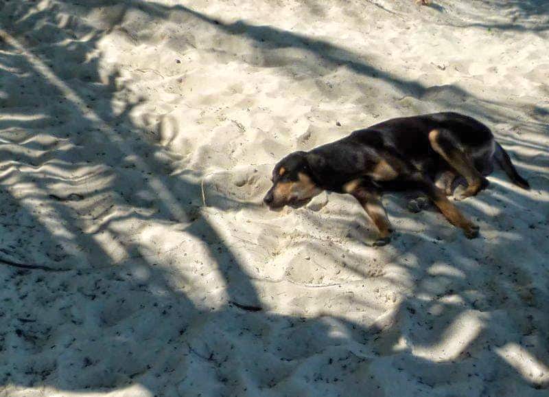Beachside And Lazy In Providenciales